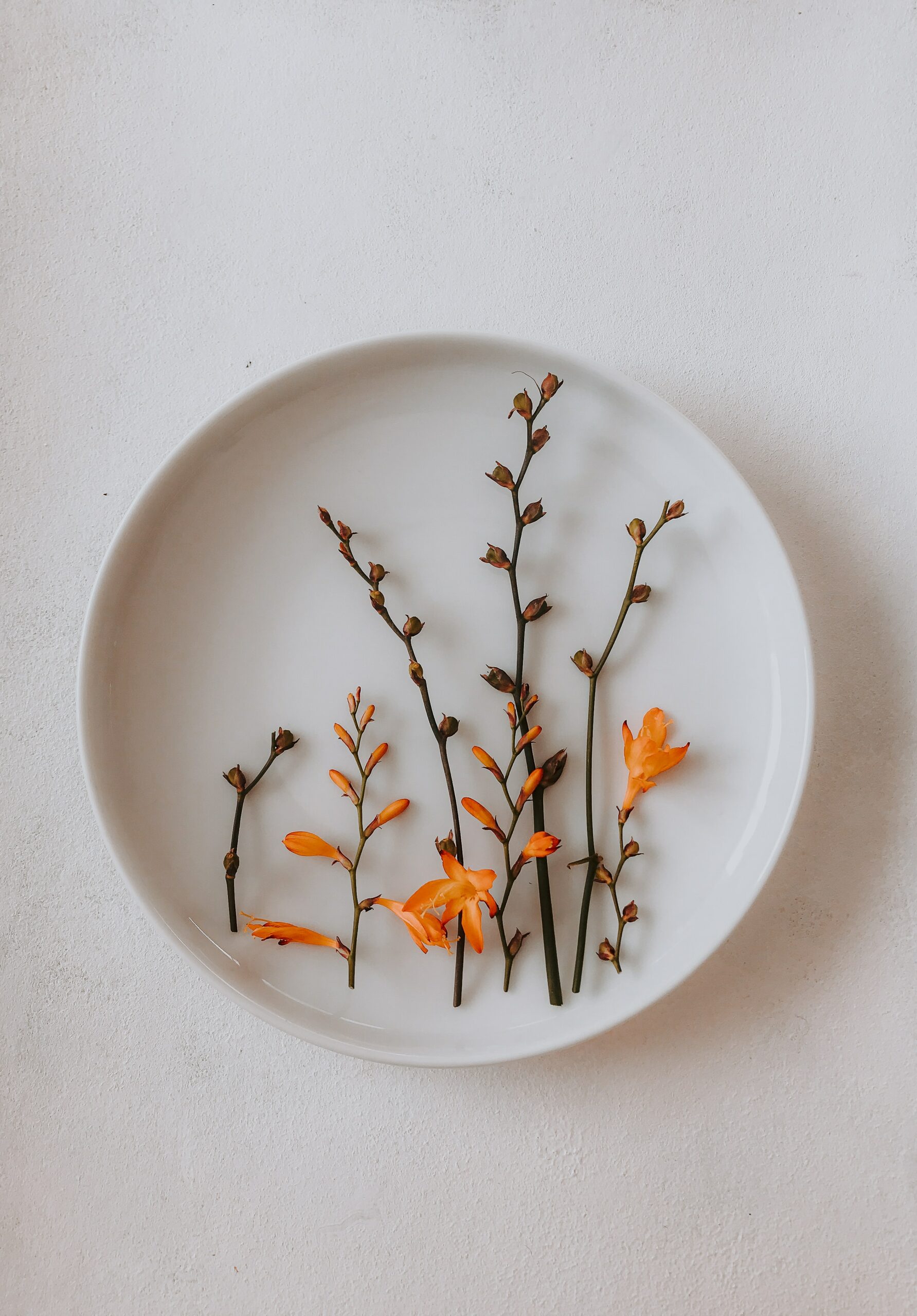 A Guide to the Various Types of Bowls - At Home in the Future