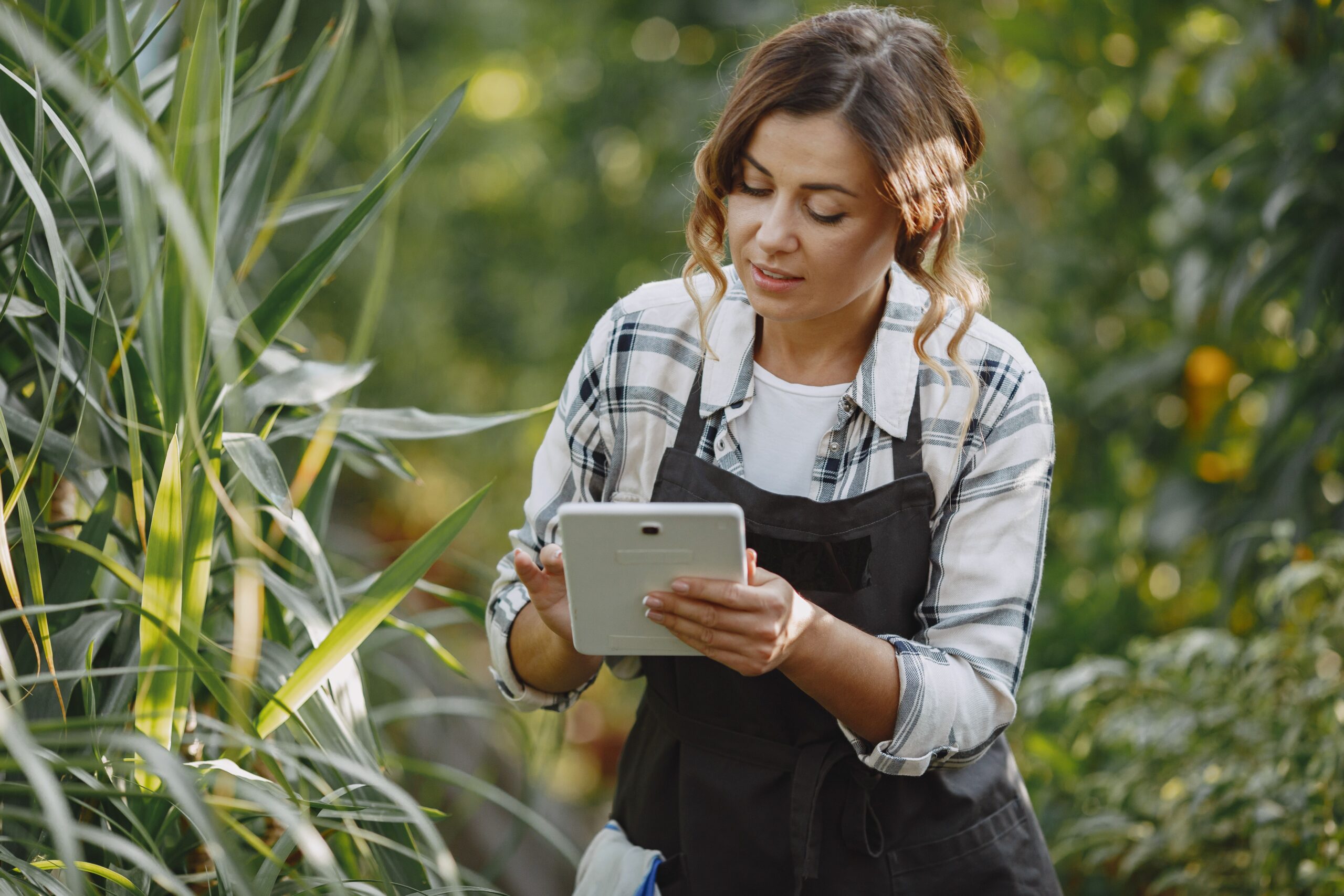Smarter Gardens for Smart Homes! - At Home in the Future